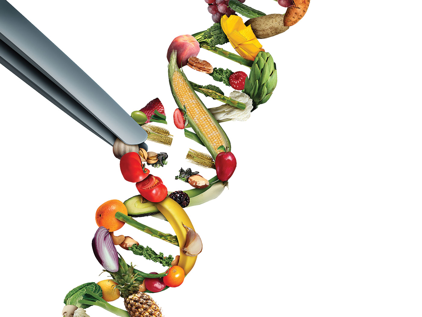Dna Repair The Built In Toolbox That Sustains Life The Institute For Creation Research